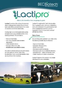 BEC Biotech – BEC Feed Solutions Australia and New Zealand