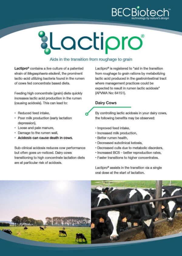 BEC Biotech – BEC Feed Solutions Australia and New Zealand